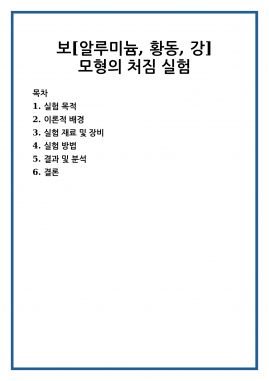 보[알루미늄, 황동, 강] 모형의 처짐 실험-1페이지
