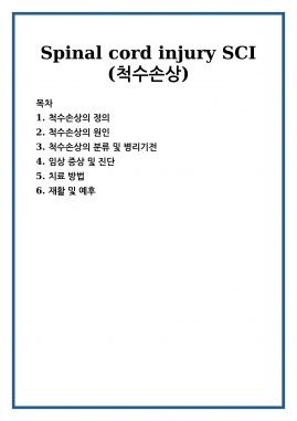 Spinal cord injury SCI (척수손상)-1페이지
