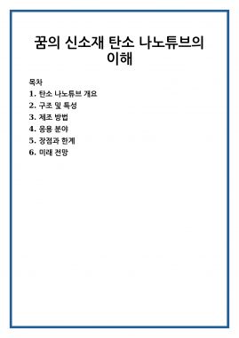 꿈의 신소재 탄소 나노튜브의 이해-1페이지