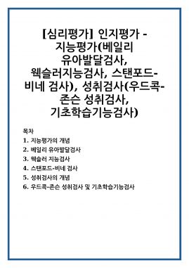 [심리평가] 인지평가 - 지능평가(베일리 유아발달검사, 웩슬러지능검사, 스탠포드-비네 검사), 성취검사(우드콕-존슨 성취검사, 기초학습기능검사)-1페이지