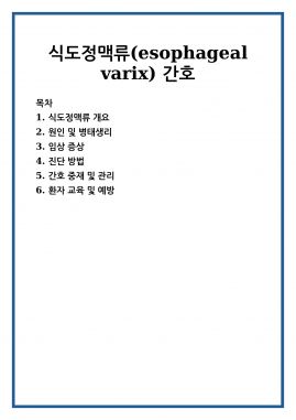 식도정맥류(esophageal varix) 간호-1페이지