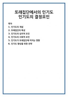 또래집단에서의 인기도 인기도의 결정요인-1페이지