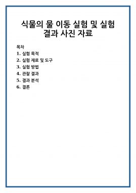 식물의 물 이동 실험 및 실험 결과 사진 자료-1페이지