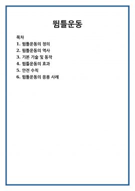 뜀틀운동 레포트 자료-1페이지