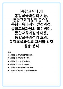 [통합교육과정]통합교육과정의 기능, 통합교육과정의 중요성, 통합교육과정의 발전과정, 통합교육과정의 교수원리, 통합교육과정의 내용, 통합교육과정의 효과, 통합교육과정의 과제와 방향 심층 분석-1페이지