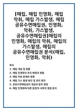[매립, 매립 민영화, 매립 악취, 매립 가스발생, 매립 공유수면매립권, 민영화, 악취, 가스발생, 공유수면매립권]매립의 민영화, 매립의 악취, 매립의 가스발생, 매립의 공유수면매립권 분석(매립, 민영화, 악취)-1페이지