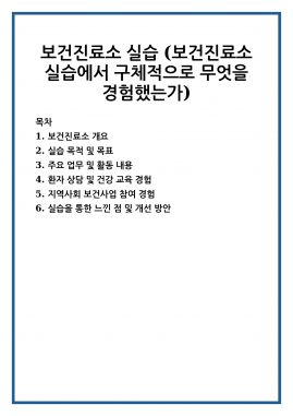 보건진료소 실습 (보건진료소 실습에서 구체적으로 무엇을 경험했는가)-1페이지