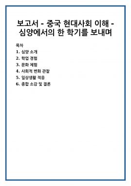보고서 - 중국 현대사회 이해 - 심양에서의 한 학기를 보내며-1페이지