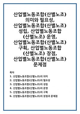 산업별노동조합(산별노조) 의미와 필요성, 산업별노동조합(산별노조) 성립, 산업별노동조합(산별노조) 운영, 산업별노동조합(산별노조) 구획, 산업별노동조합(산별노조) 장점, 산업별노동조합(산별노조) 문제점-1페이지