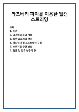 라즈베리 파이를 이용한 웹캠 스트리밍-1페이지