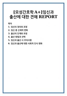 [모성간호학]임신과 출산에 대한 견해 REPORT-1페이지