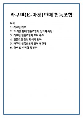 라쿠텐(E-마켓)판매 협동조합-1페이지
