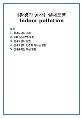 [환경과 공해] 실내오염 Indoor pollution-1페이지