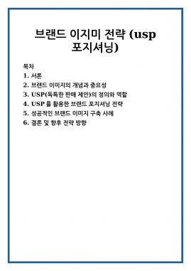 브랜드 이지미 전략 (usp 포지셔닝)-1페이지