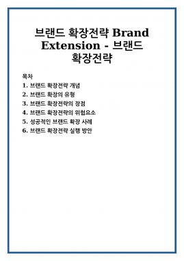 브랜드 확장전략 Brand Extension - 브랜드 확장전략-1페이지