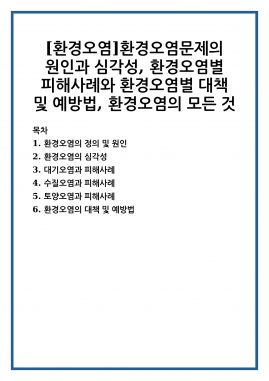 [환경오염]환경오염문제의 원인과 심각성, 환경오염별 피해사례와 환경오염별 대책 및 예방법, 환경오염의 모든 것-1페이지