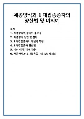 채종양식과 1대잡종종자의 양산법 및 벼의예-1페이지