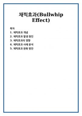 채찍효과(Bullwhip Effect)-1페이지