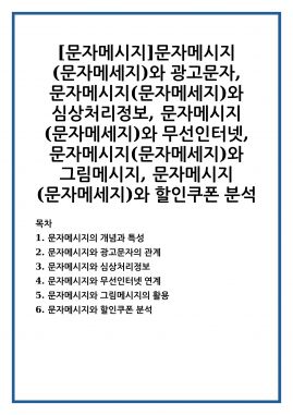 [문자메시지]문자메시지(문자메세지)와 광고문자, 문자메시지(문자메세지)와 심상처리정보, 문자메시지(문자메세지)와 무선인터넷, 문자메시지(문자메세지)와 그림메시지, 문자메시지(문자메세지)와 할인쿠폰 분석-1페이지