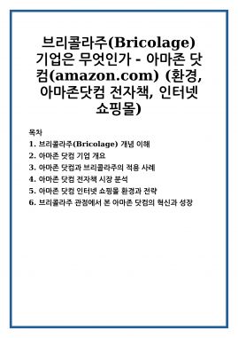 브리콜라주(Bricolage) 기업은 무엇인가 - 아마존 닷 컴(amazon.com) (환경, 아마존닷컴 전자책, 인터넷 쇼핑몰)-1페이지