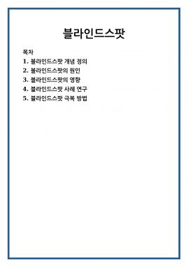 블라인드스팟-1페이지