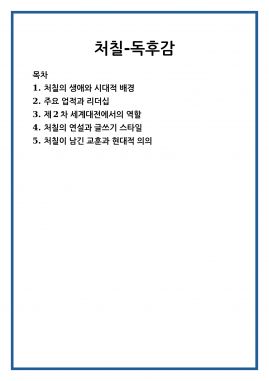 처칠-독후감 레포트 자료-1페이지