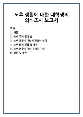 노후 생활에 대한 대학생의 의식조사 보고서-1페이지