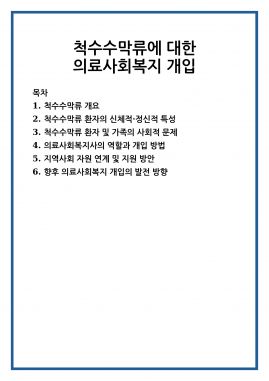 척수수막류에 대한 의료사회복지 개입-1페이지