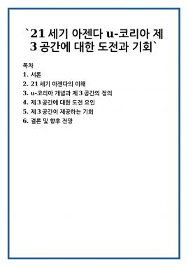 `21세기 아젠다 u-코리아 제3공간에 대한 도전과 기회`-1페이지