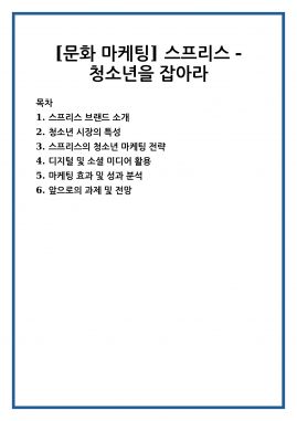 [문화 마케팅] 스프리스 - 청소년을 잡아라-1페이지