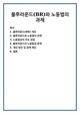 블루라운드(BR)와 노동법의 과제-1페이지