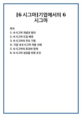 [6시그마]기업에서의 6 시그마-1페이지