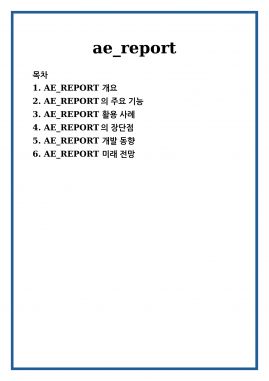 ae_report 레포트 자료-1페이지