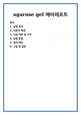 agarose gel 예비레포트-1페이지