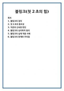 블링크(첫 2초의 힘)-1페이지