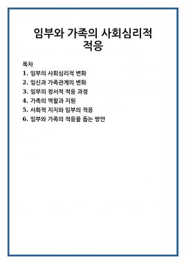 임부와 가족의 사회심리적 적응-1페이지
