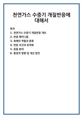 천연가스 수증기 개질반응에 대해서-1페이지