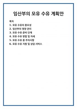 임산부의 모유 수유 계획안-1페이지
