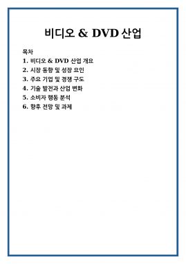 비디오 & DVD산업-1페이지
