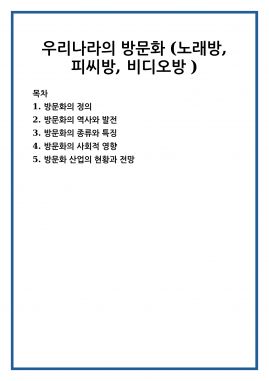 우리나라의 방문화 (노래방, 피씨방, 비디오방 )-1페이지