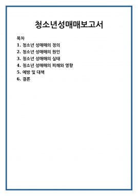 청소년성매매보고서-1페이지