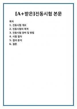 진동시험 본문-1페이지