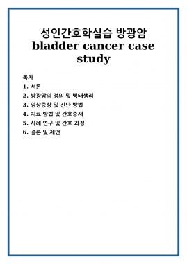 성인간호학실습 방광암 bladder cancer case study-1페이지