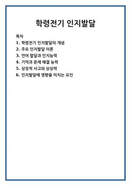 학령전기 인지발달-1페이지