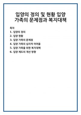 입양의 정의 및 현황 입양 가족의 문제점과 복지대책-1페이지