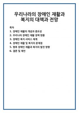 우리나라의 장애인 재활과 복지의 대책과 전망-1페이지