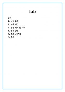 lab 레포트 자료-1페이지