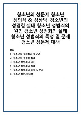 청소년의 성문제 청소년 성의식 & 성상담  청소년의 성경험 실태 청소년 성범죄의 원인 청소년 성범죄의 실태 청소년 성범죄의 특성 및 문제 청소년 성문제 대책-1페이지