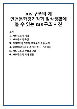 ms구조의 예 인천문학경기장과 일상생활에 볼 수 있는 ms구조 사진-1페이지