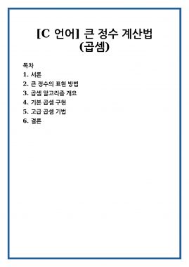 [C 언어] 큰 정수 계산법(곱셈)-1페이지